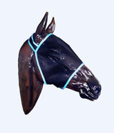 Premier Equestrian Tack & Gear | Tack 'n Togs South Africa – Tack 'n ...