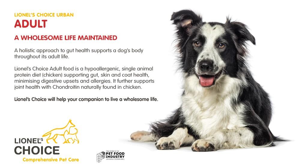 Dog – Tack 'n Togs at Midfeeds