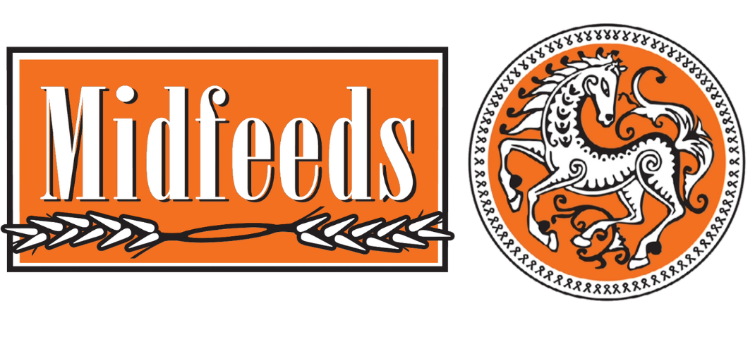 LETTUCE MIXED VARIETY SEED – Tack 'n Togs at Midfeeds