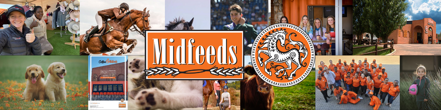 Our Story | Passion for Equestrian Excellence | Tack 'n Togs – Tack 'n ...