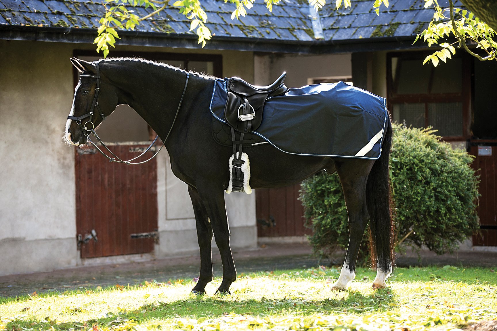 Exercise Rugs – Tack 'n Togs at Midfeeds