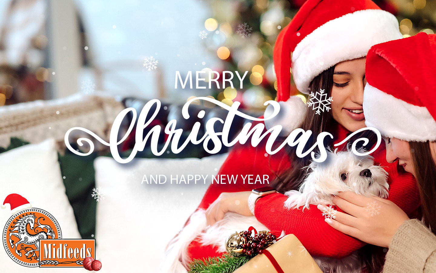 Premier Equestrian Tack & Gear | Tack 'n Togs South Africa – Tack 'n ...