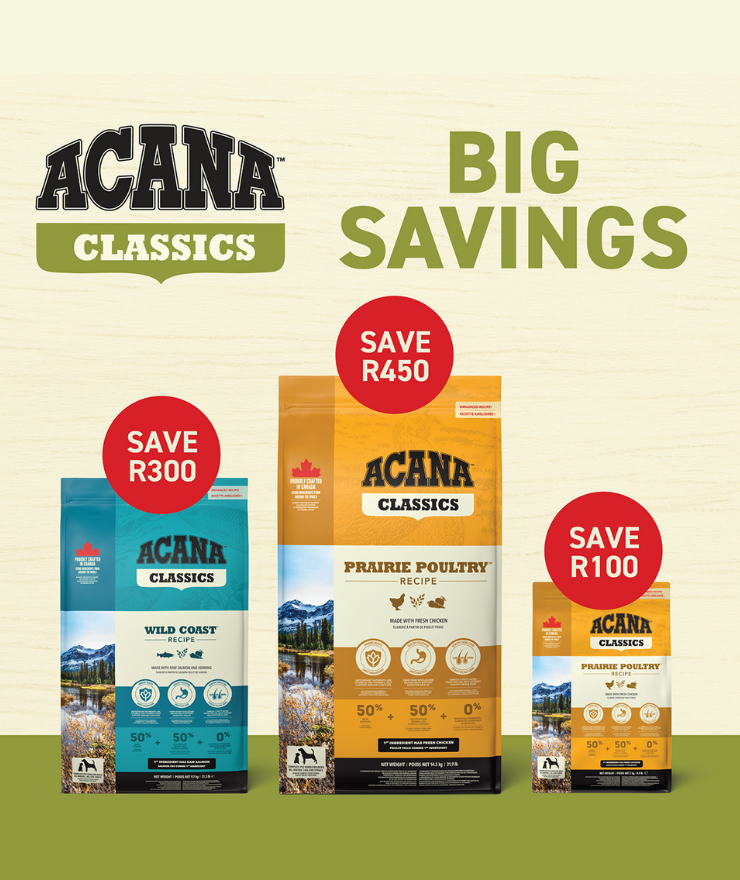 Equestrian Horse Tack & Gear | South Africa's Favourite Pet Shop – Tack ...