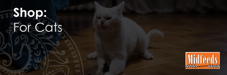 Cat – Tack 'n Togs at Midfeeds