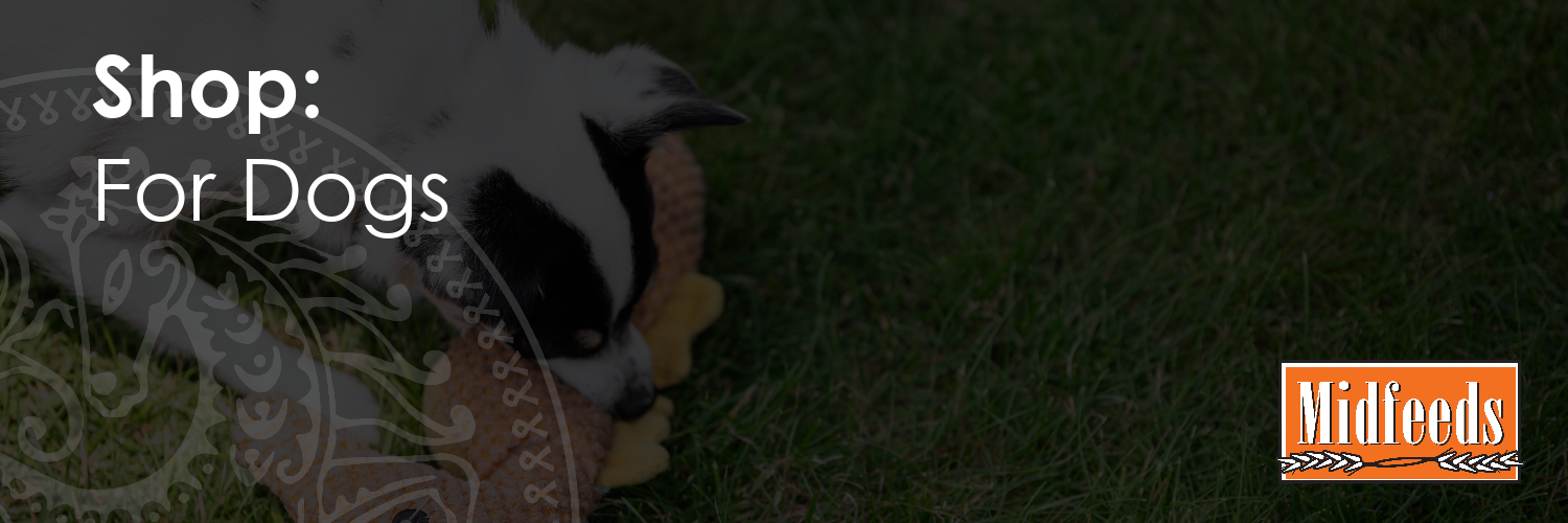 Dog Blankets and Beds – Tack 'n Togs at Midfeeds