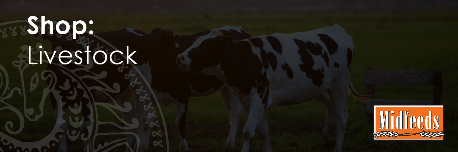 Complete Livestock Feed Selection | Tack 'n Togs – Tack 'n Togs at Midfeeds